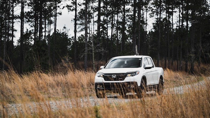 Exploring the Georgia Adventure Trail | DrivingLine