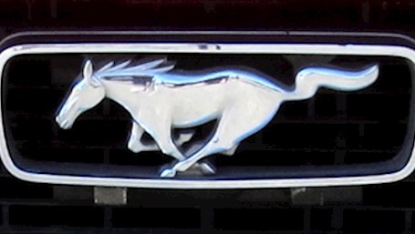 Paying Tribute To 50 Years Of The Mighty Mustang | DrivingLine