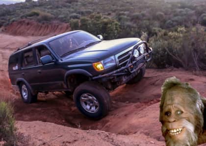 Joshua Tree National Park Touring Road Review. | DrivingLine