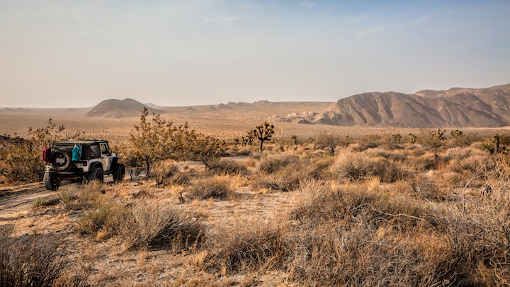 Joshua Tree National Park Touring Road Review. | DrivingLine