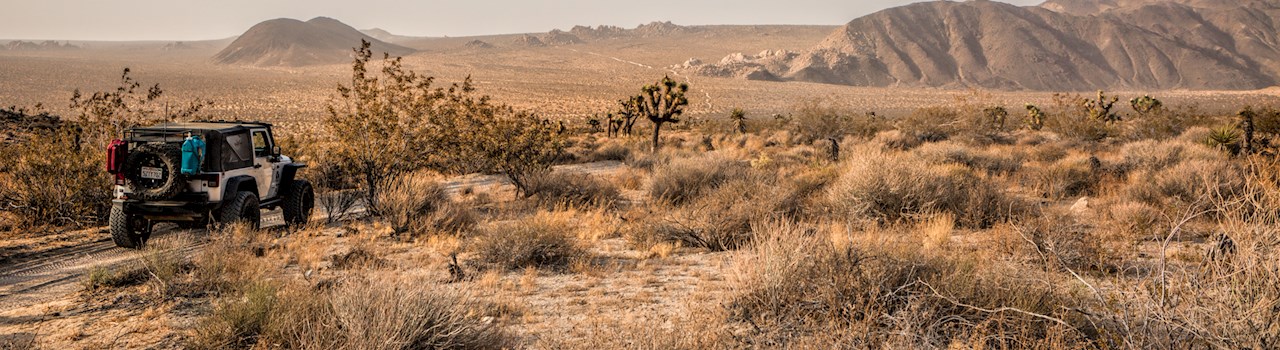 Joshua Tree National Park Touring Road Review. | DrivingLine