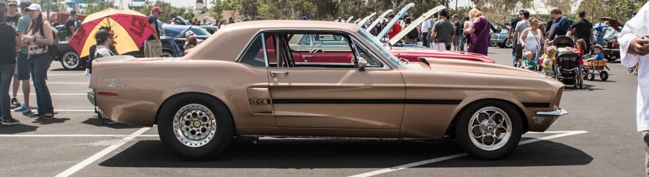 Did You Spot These Fords at Fabulous Fords Forever? | DrivingLine