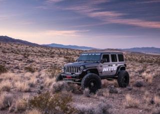 Jeep Wrangler JL | DrivingLine