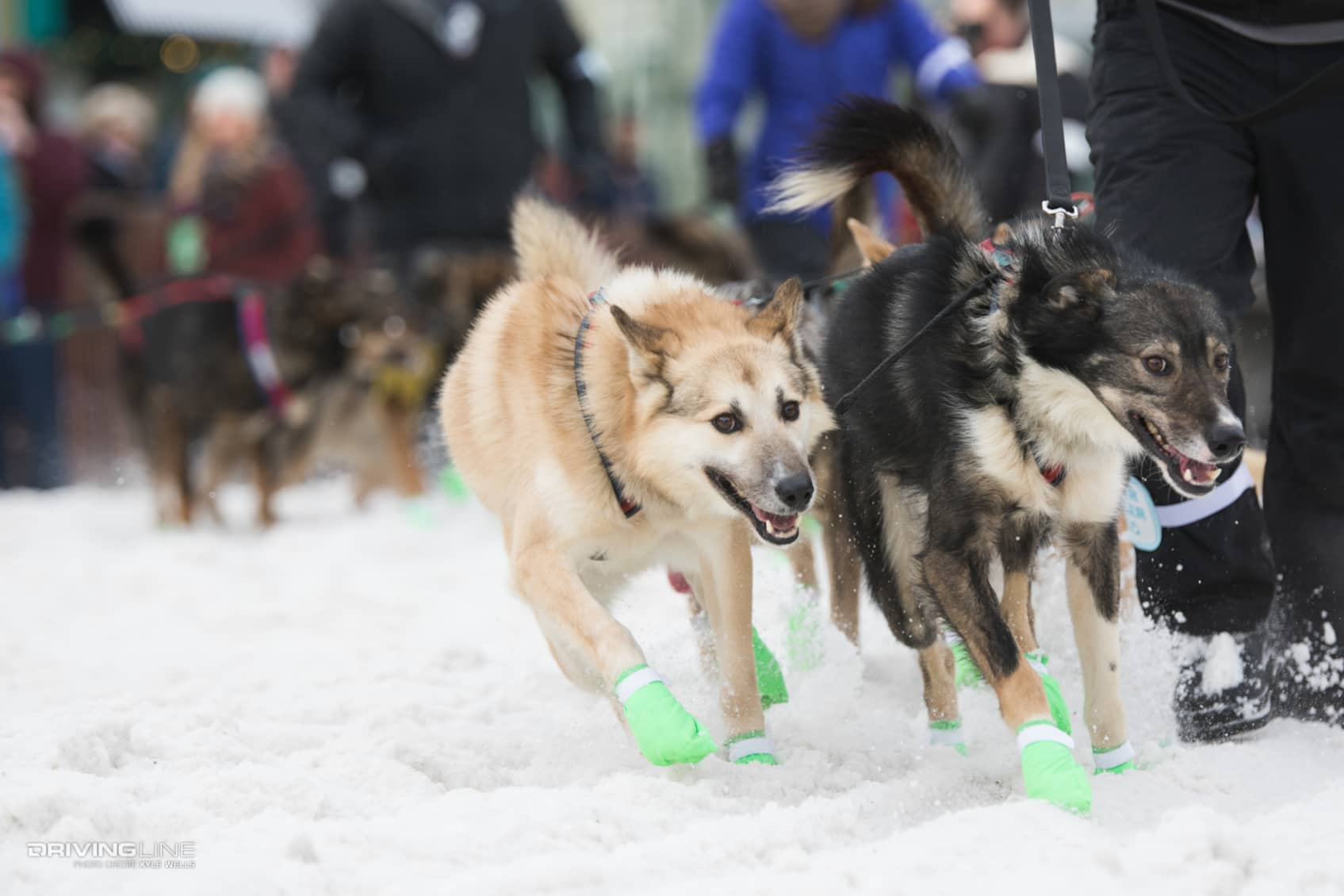 Exploring Alaska in the "Off" Season: An Arctic Roadtrip | DrivingLine