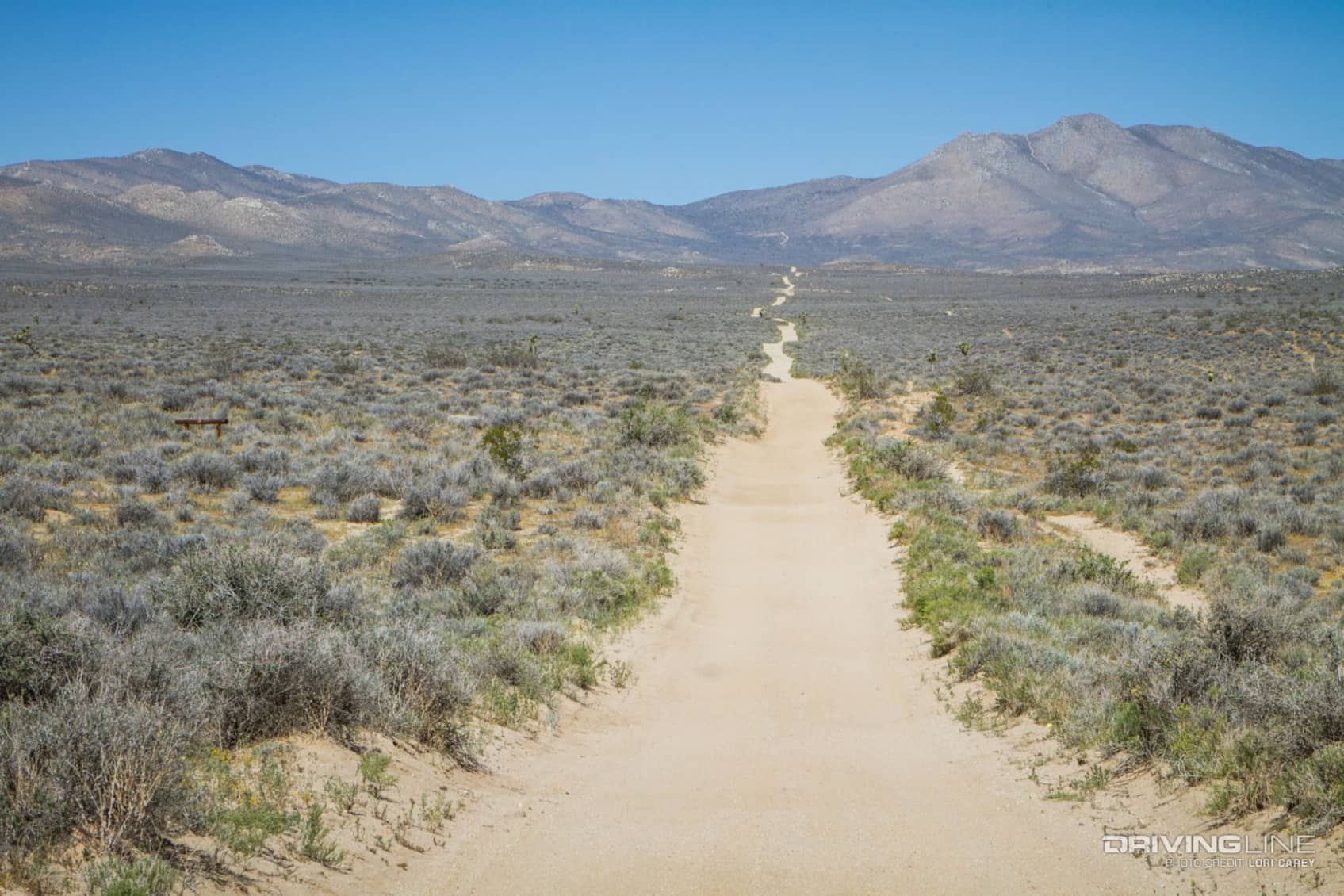 Scenic Sierras: The Bird Spring Pass Trail | DrivingLine