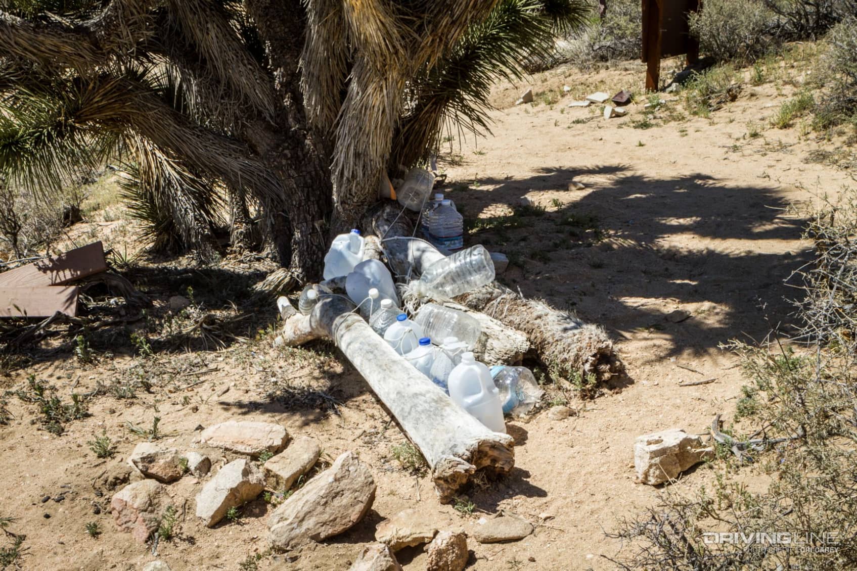 Scenic Sierras: The Bird Spring Pass Trail | DrivingLine