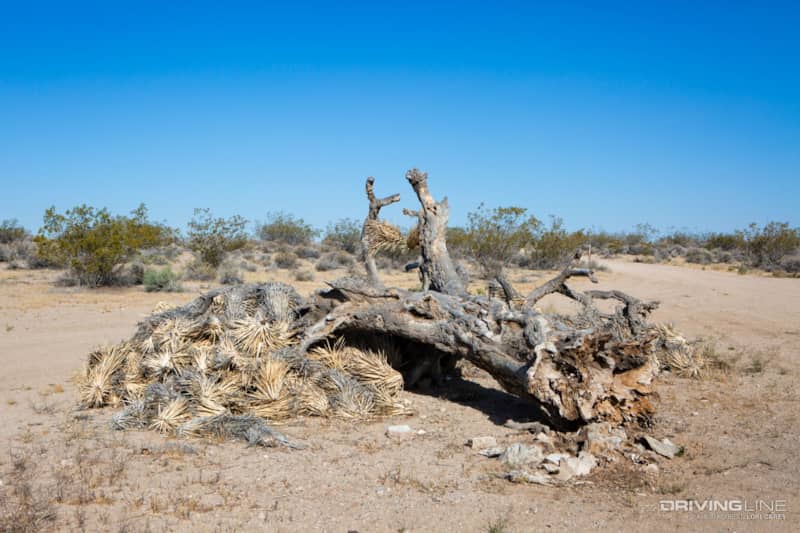 Mojave Desert Off-Roading: Mangled Metal and Windy Memories on the ...