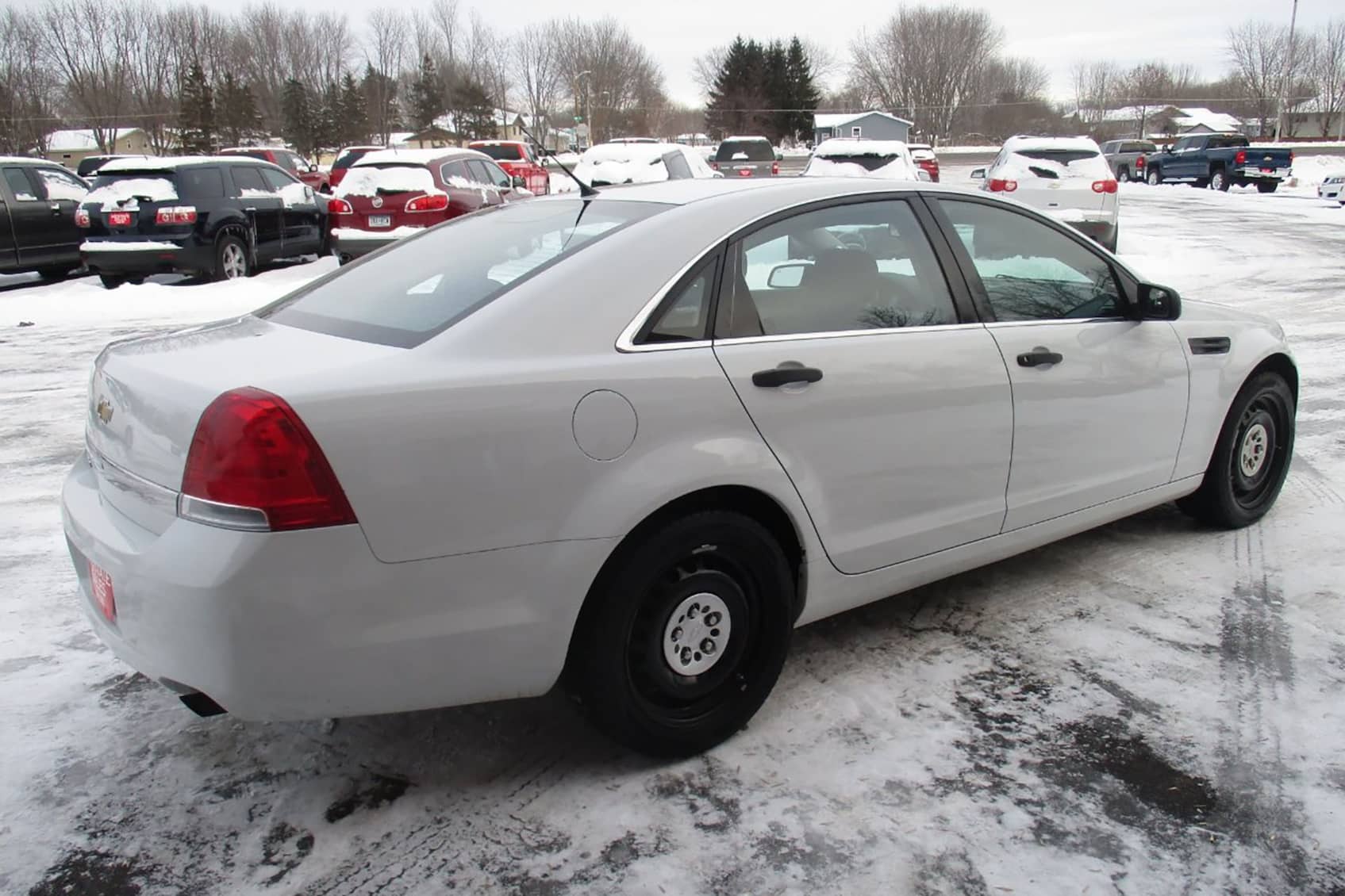 Chevy Caprice PPV: The Ultimate Daily Beater | DrivingLine
