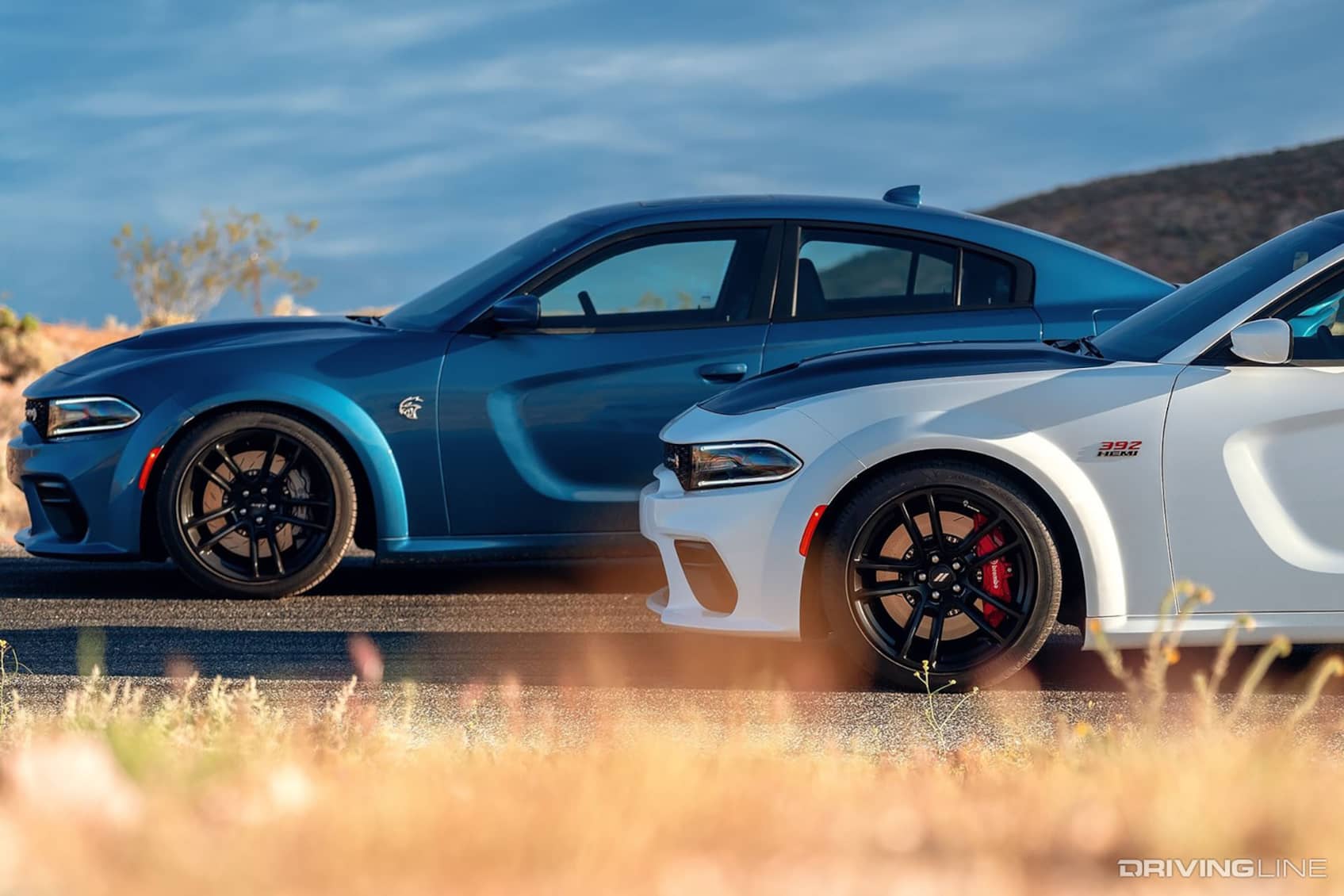 Dodge Reveals 2020 Charger Widebody | DrivingLine