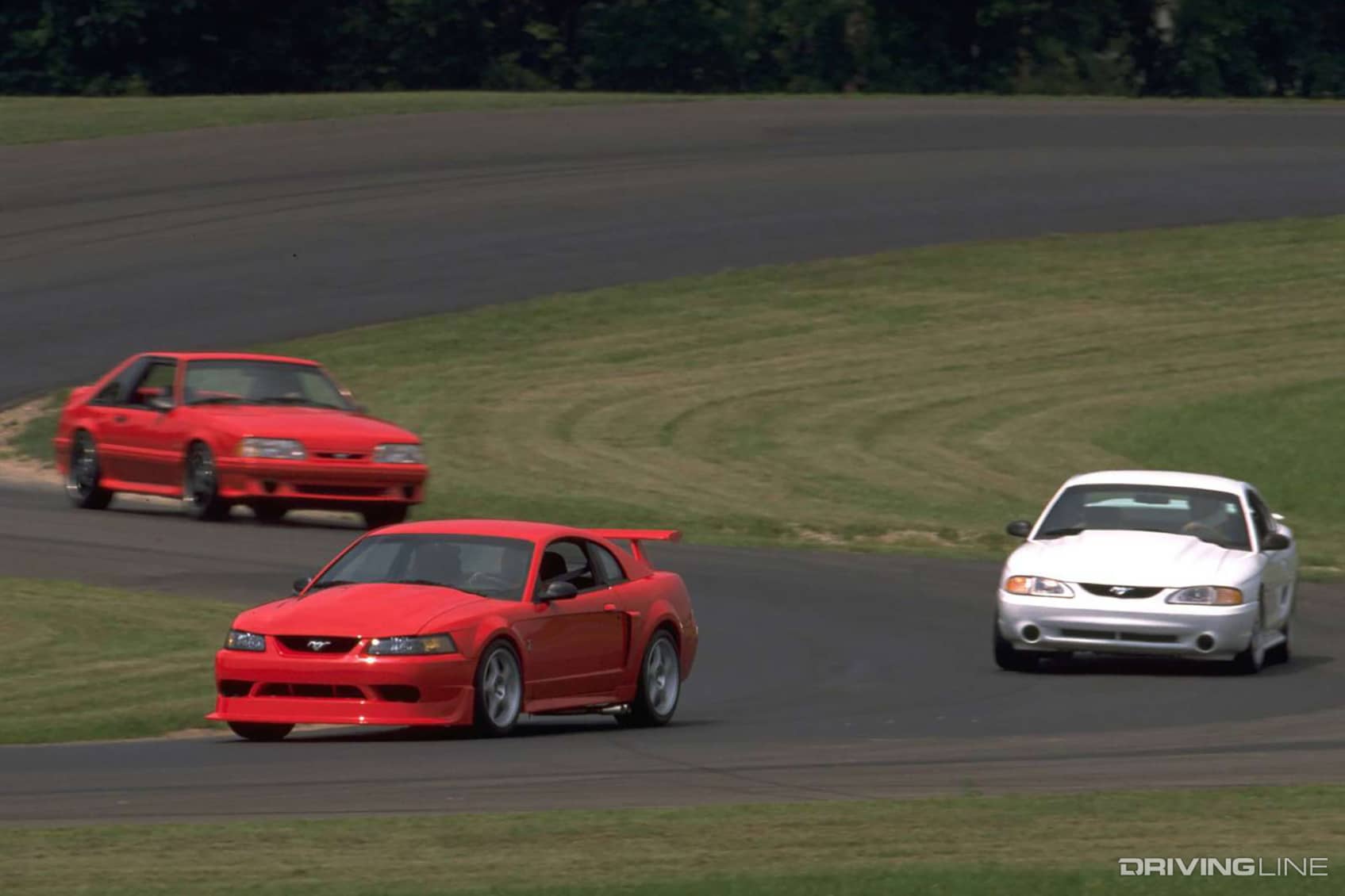 20 Years Later, the 2000 SVT Cobra R Remains One of the Greatest ...