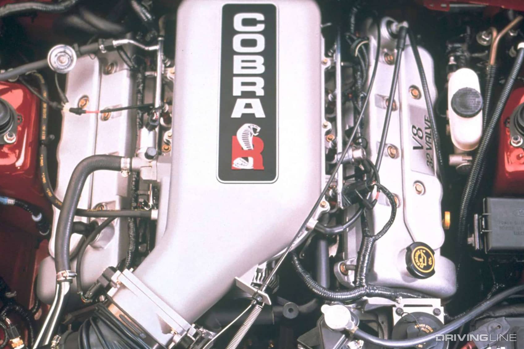 20 Years Later, the 2000 SVT Cobra R Remains One of the Greatest ...