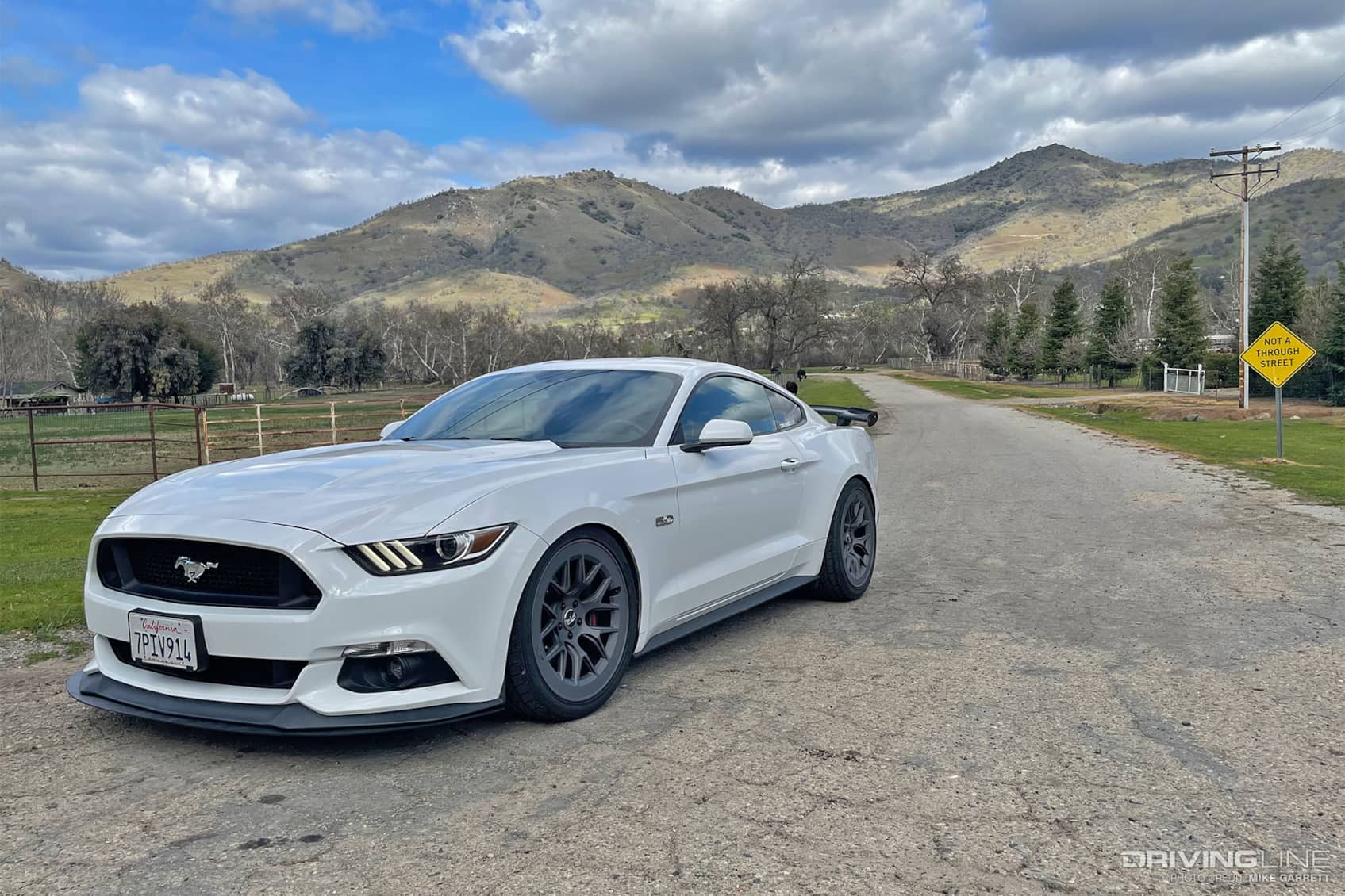 Revenge of the 5.0: How the Coyote V8 Elevated the Modern Mustang to ...