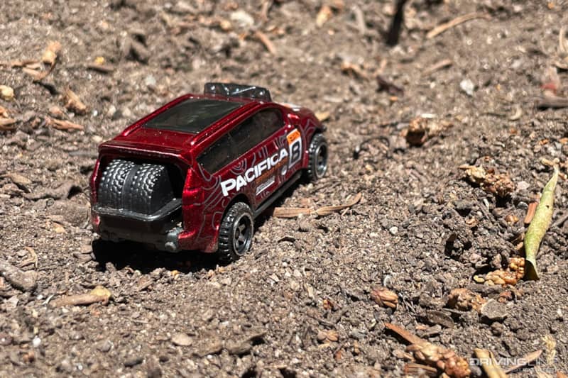 Broncos, Gladiators, Raptors & More: How to Hit the Trail with Hot ...