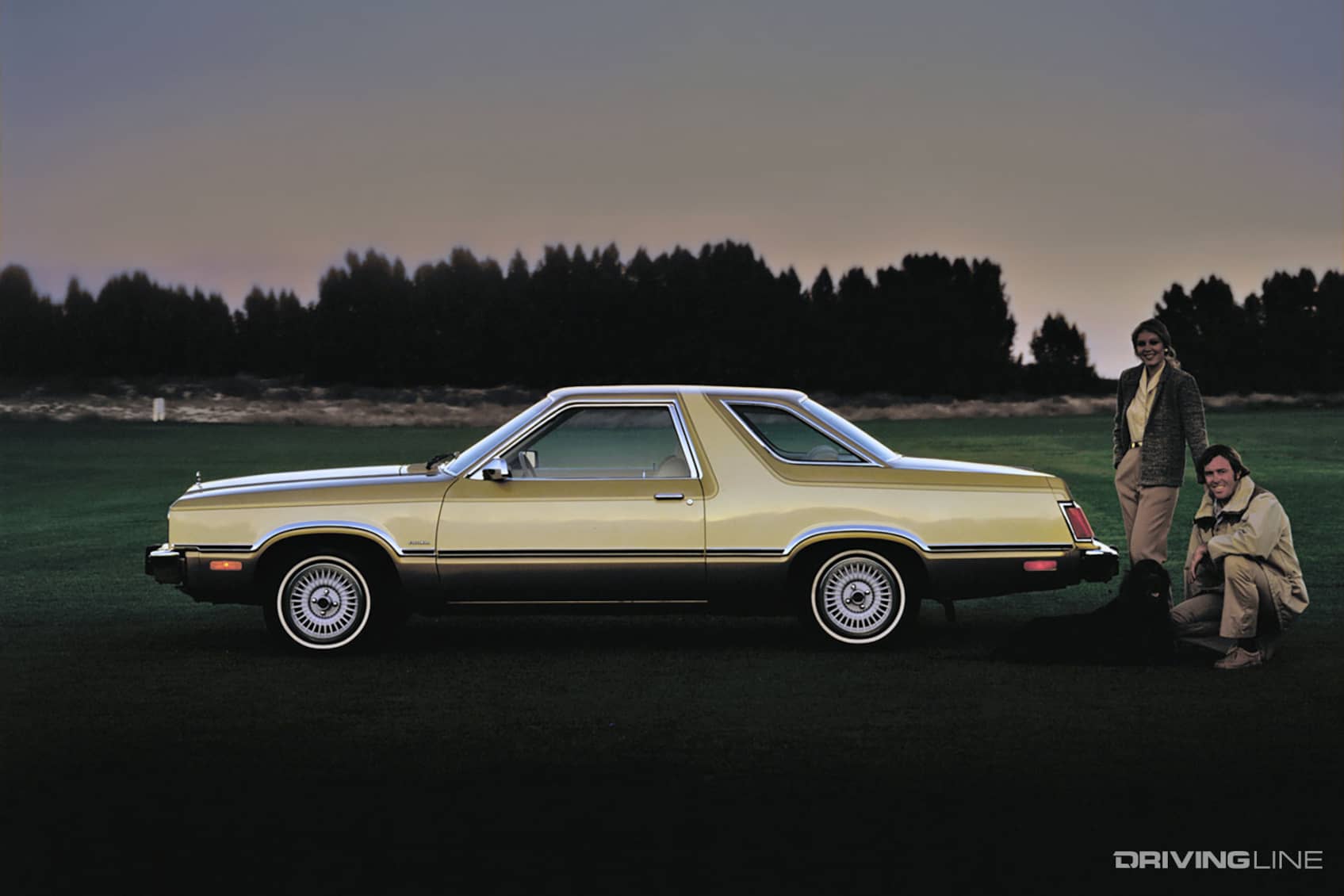 The Other Fox Bodies: Ford's Cheaper & Rarer Mustang 5.0 Alternatives ...