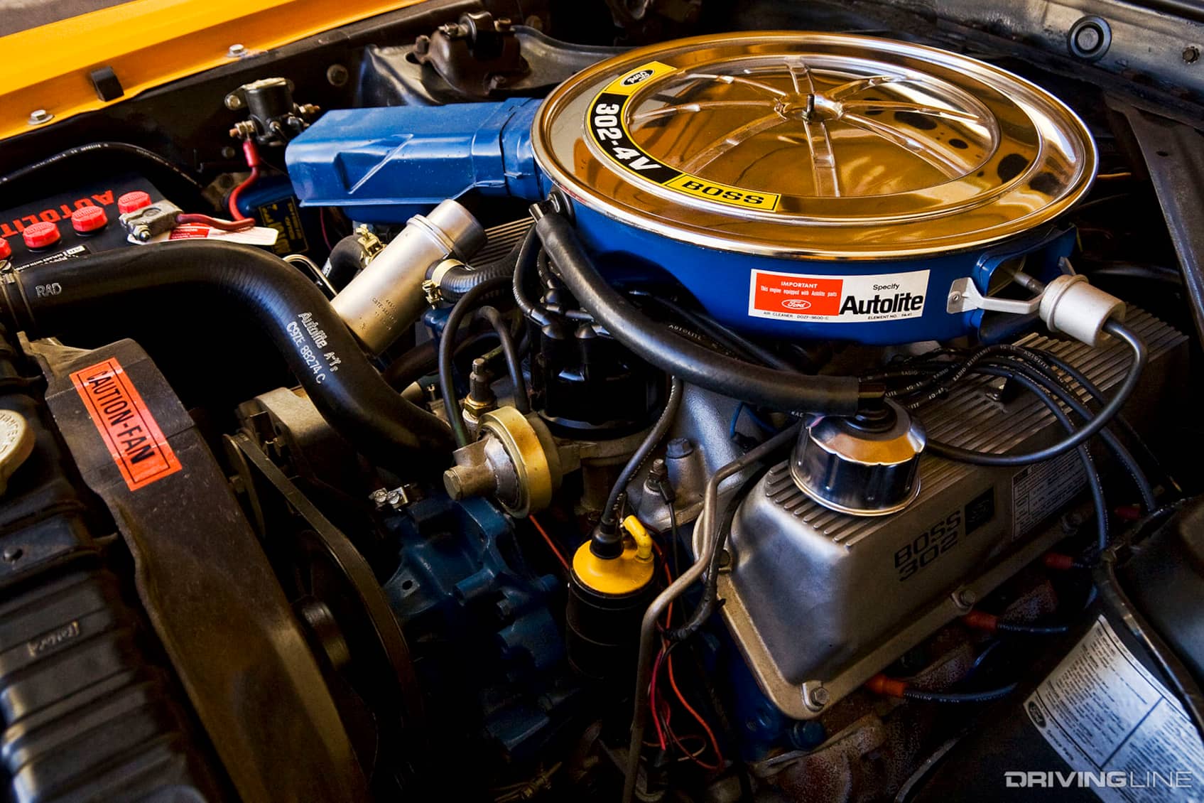 From Boss 302 to SVT Cobra: How the 5.0 V8 Became the Mustang's Most ...