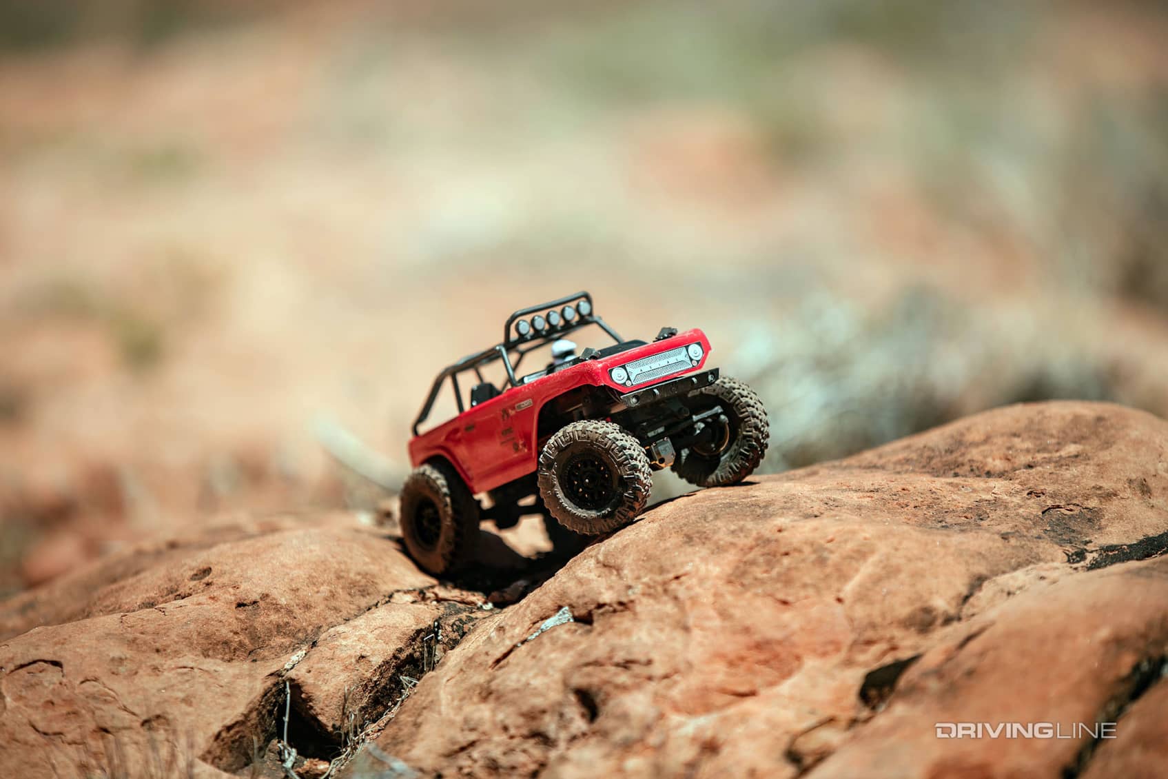 On the Trail at Queen's Court with Carbon Off Road and Disciple Off ...