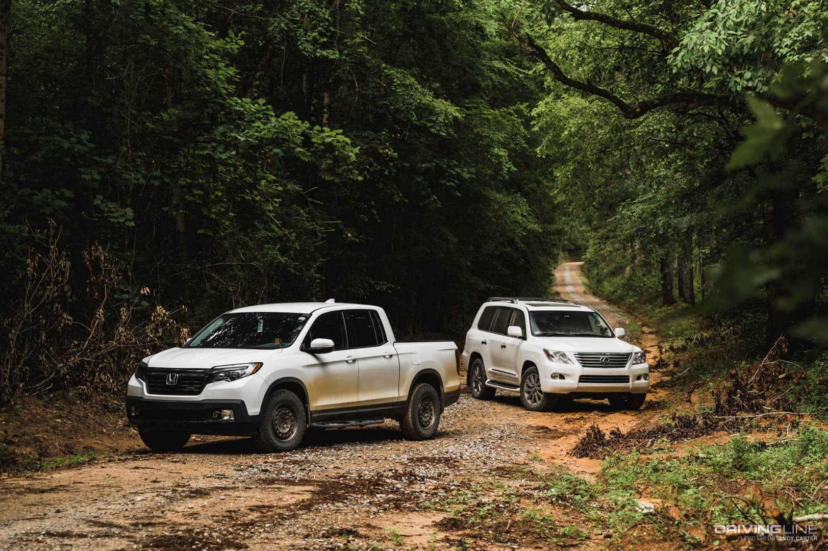 The Perfect Weekend Off-Road Trip: The Georgia Adventure Trail Review ...