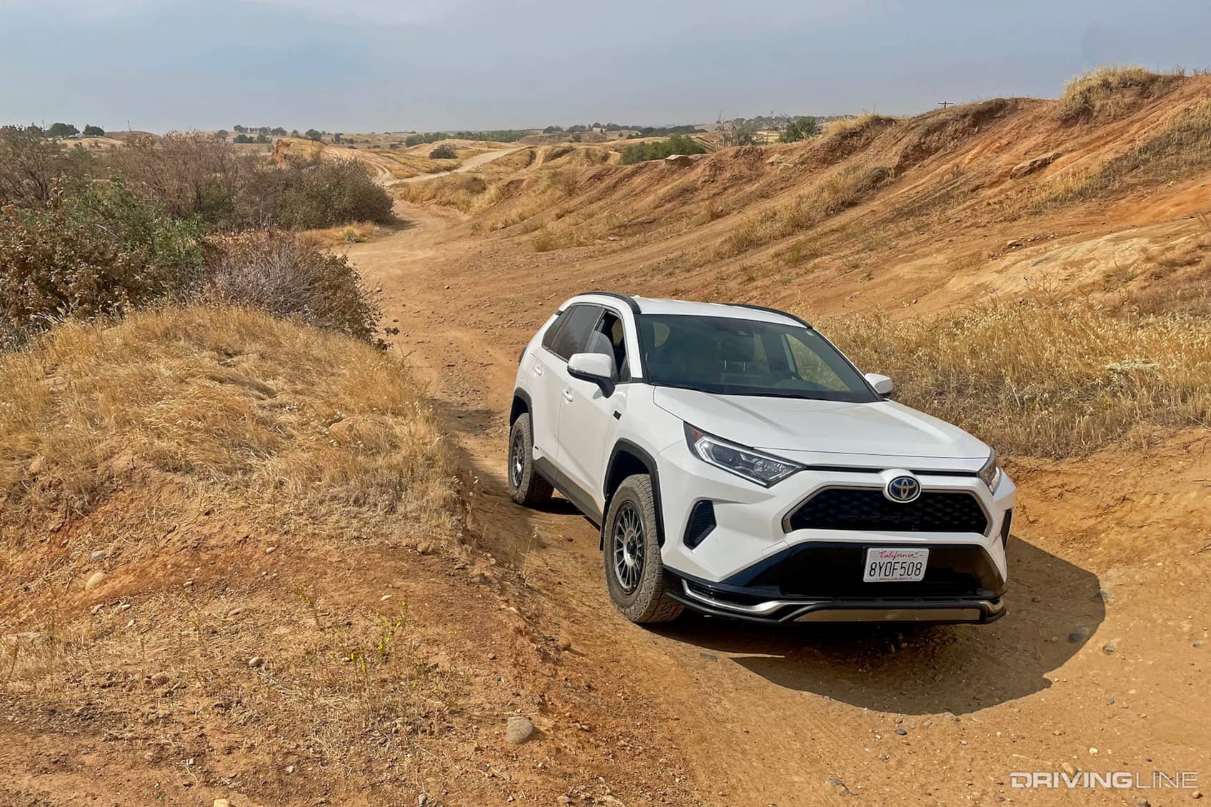 A RAV For Everyone? Choosing Between Toyota's Many Different RAV4 ...