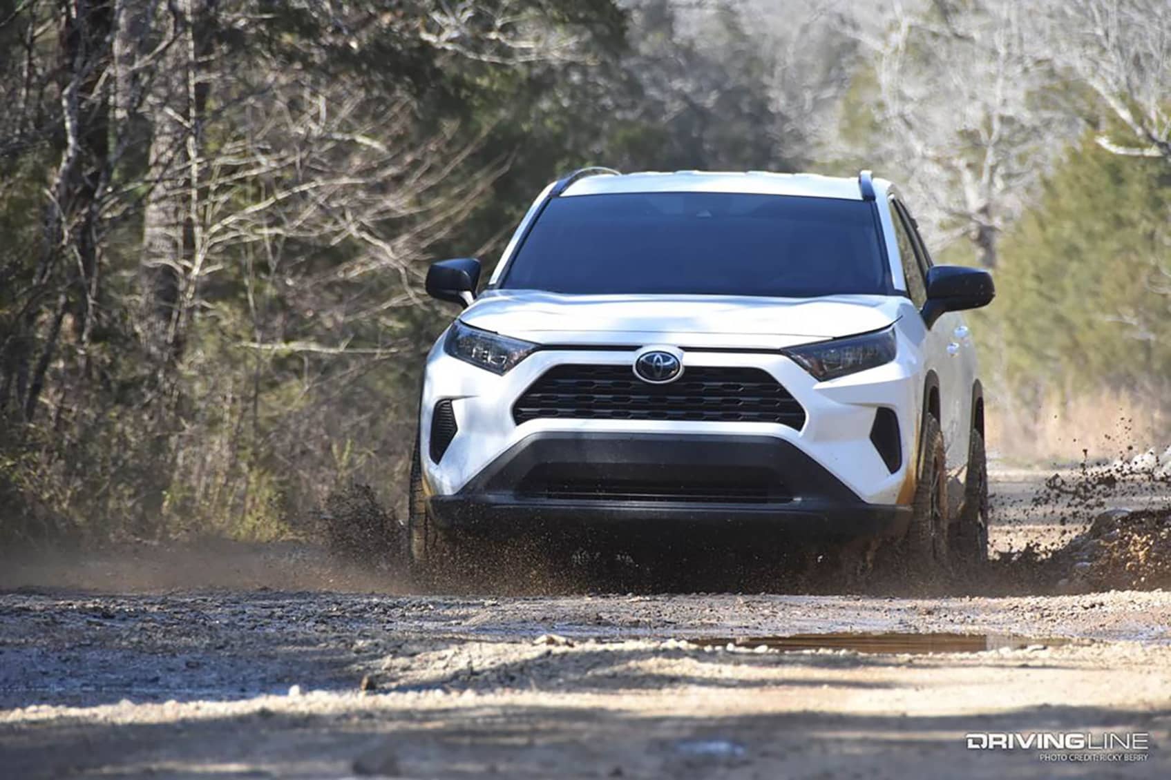 A RAV For Everyone? Choosing Between Toyota's Many Different RAV4 ...