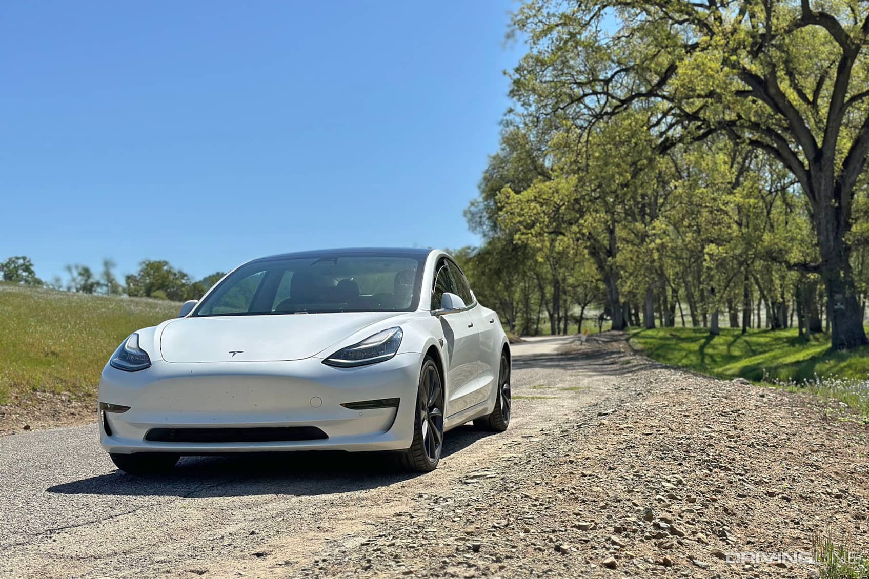 More Than Just an EV? Project Tesla Model 3 Performance Buying ...