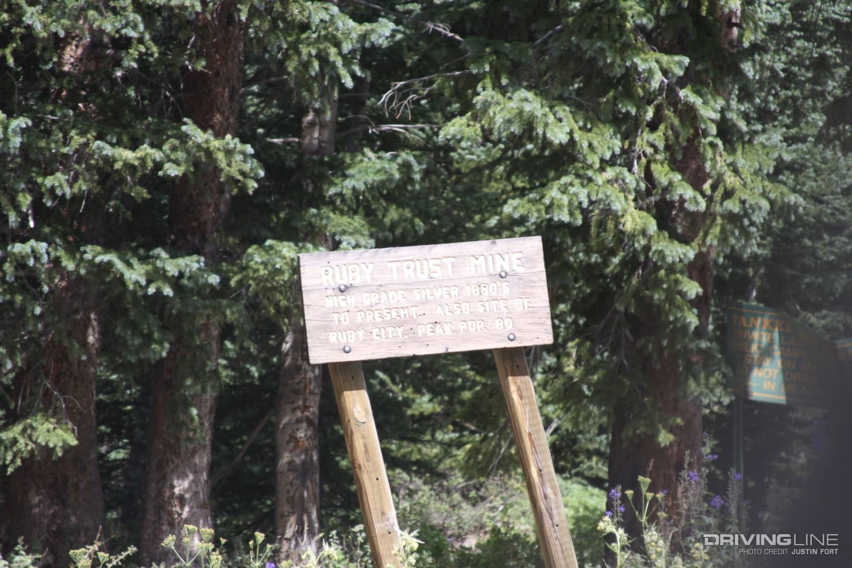 Trail Review of Colorado's Yankee Boy Basin | DrivingLine