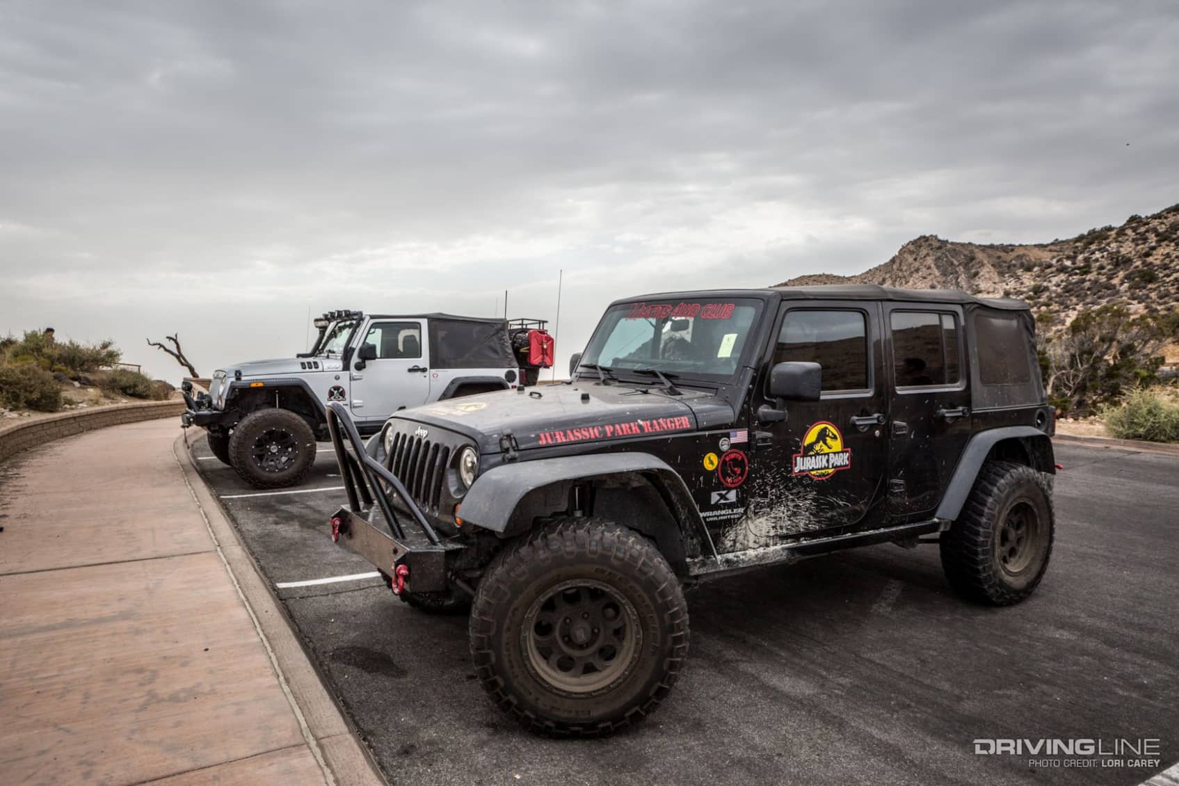 Joshua Tree National Park Touring Road Review. | DrivingLine