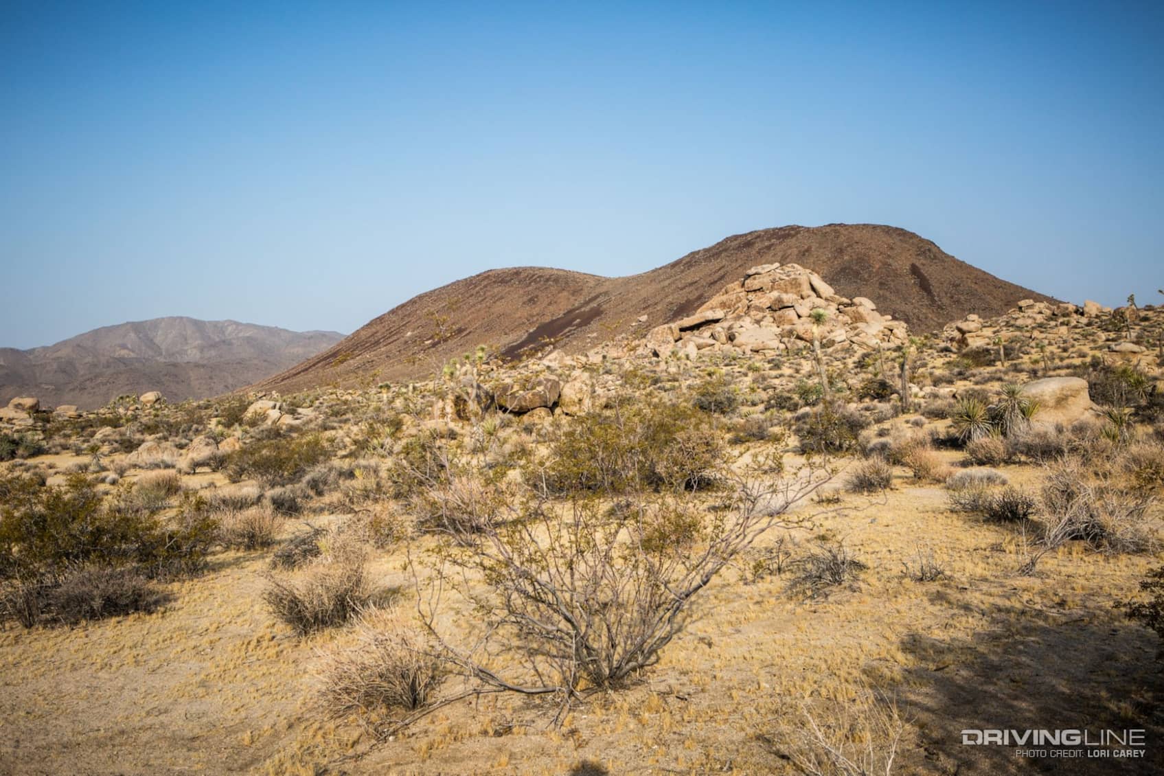 Joshua Tree National Park Touring Road Review. | DrivingLine
