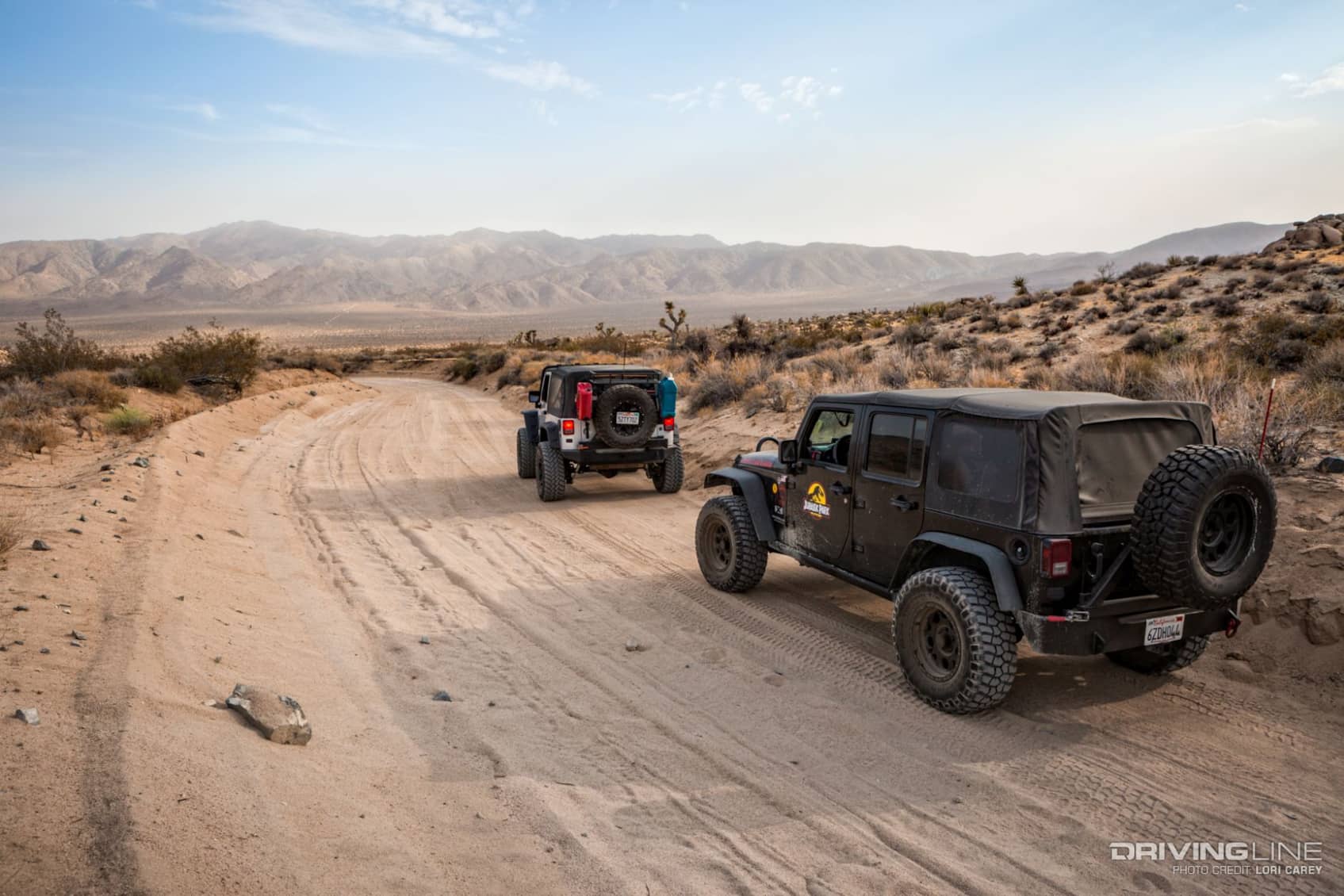 Joshua Tree National Park Touring Road Review. | DrivingLine