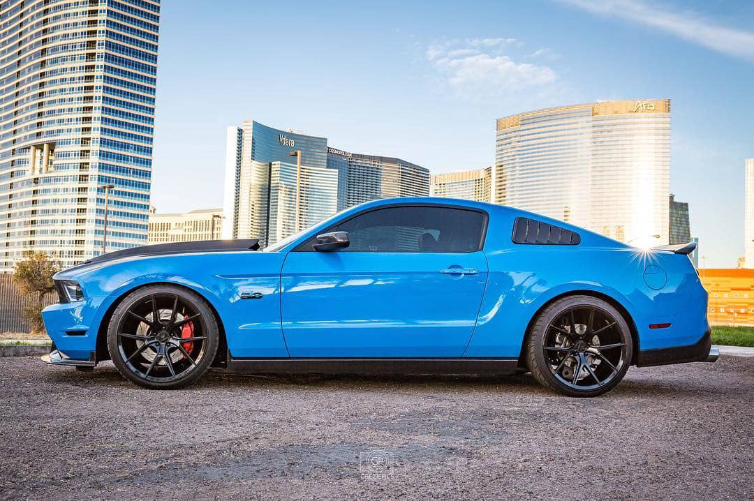 Which Hue's for You? Mustang Edition | DrivingLine
