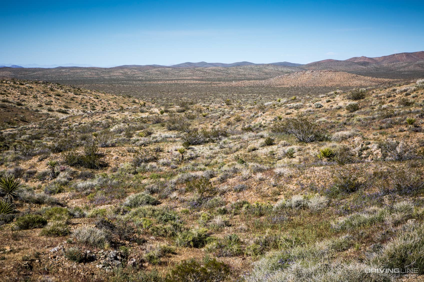 Exploring the Ord Mountains: Ord Mountain Trail Review | DrivingLine