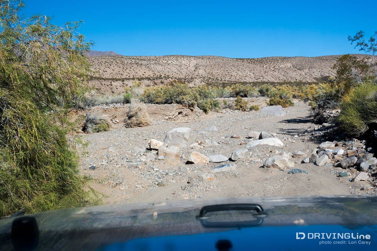 Holidays on the Trail in Search of Crusty Bunny Ranch | DrivingLine