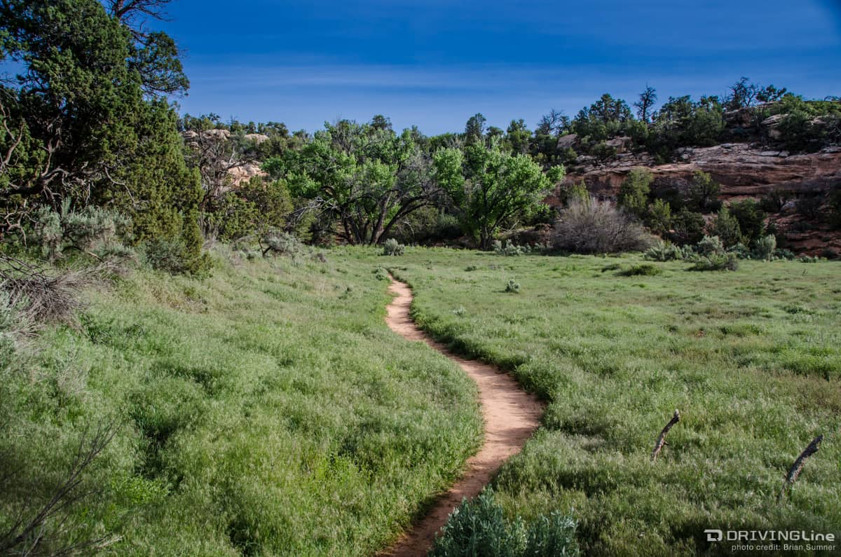 Exploring Utah's Comb Ridge and Cedar Mesa Off-Road | DrivingLine
