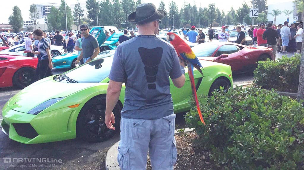 6 Cringe-Worthy Car Mods: Don't Be That Guy | DrivingLine