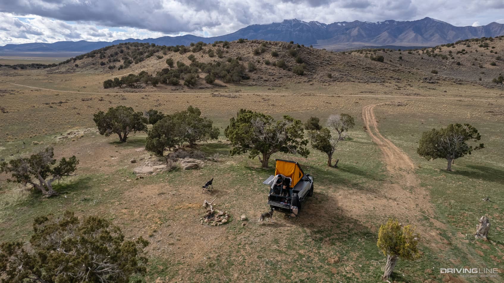 Pups on the Trail: 8 Tips for Safely Off-Roading, Camping, and ...