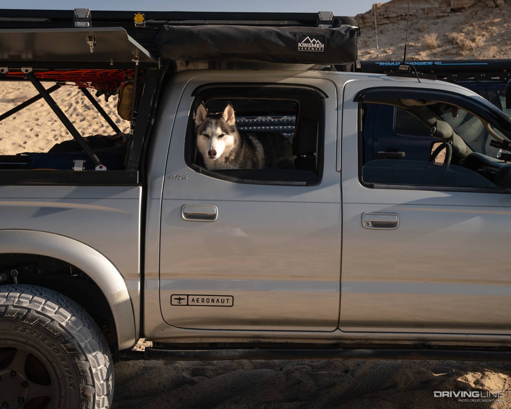 Pups on the Trail: 8 Tips for Safely Off-Roading, Camping, and ...