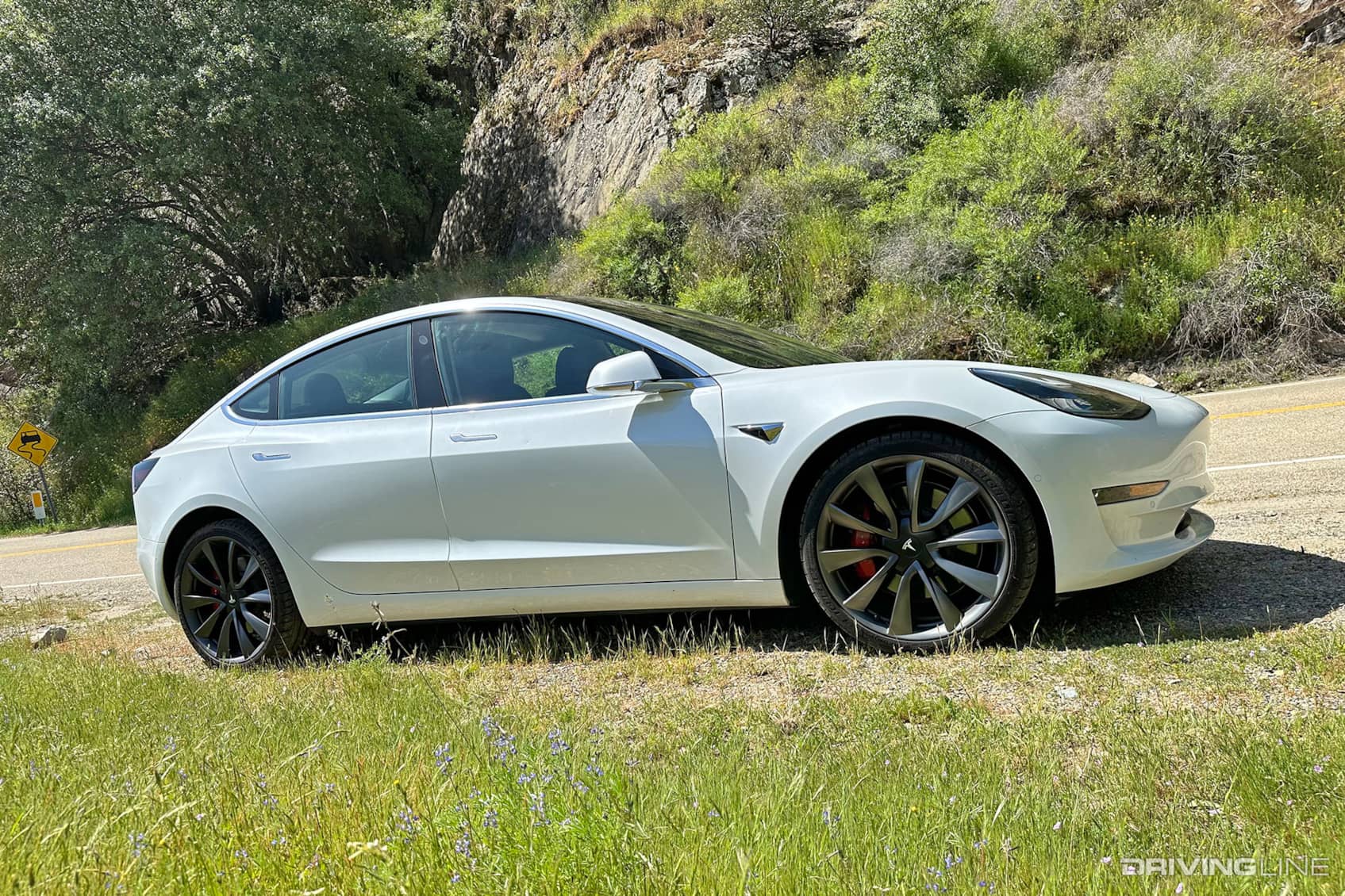 More Than Just an EV? Project Tesla Model 3 Performance Buying ...