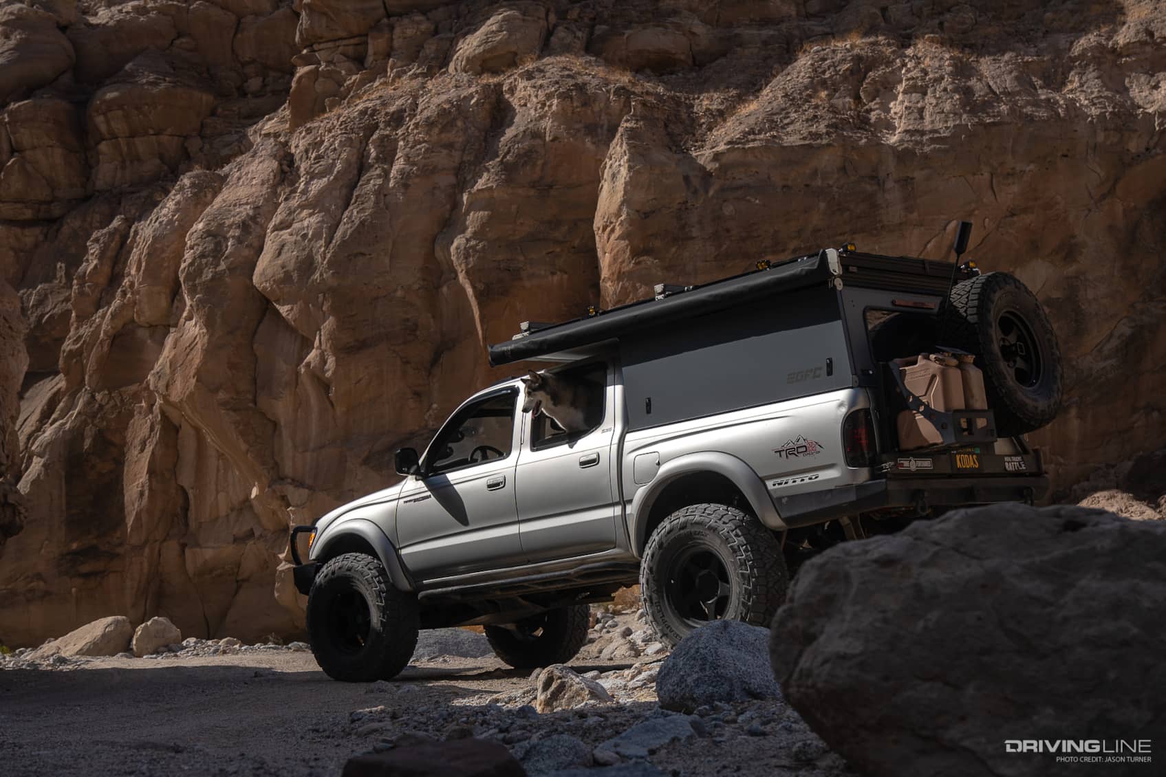 Pups on the Trail: 8 Tips for Safely Off-Roading, Camping, and ...