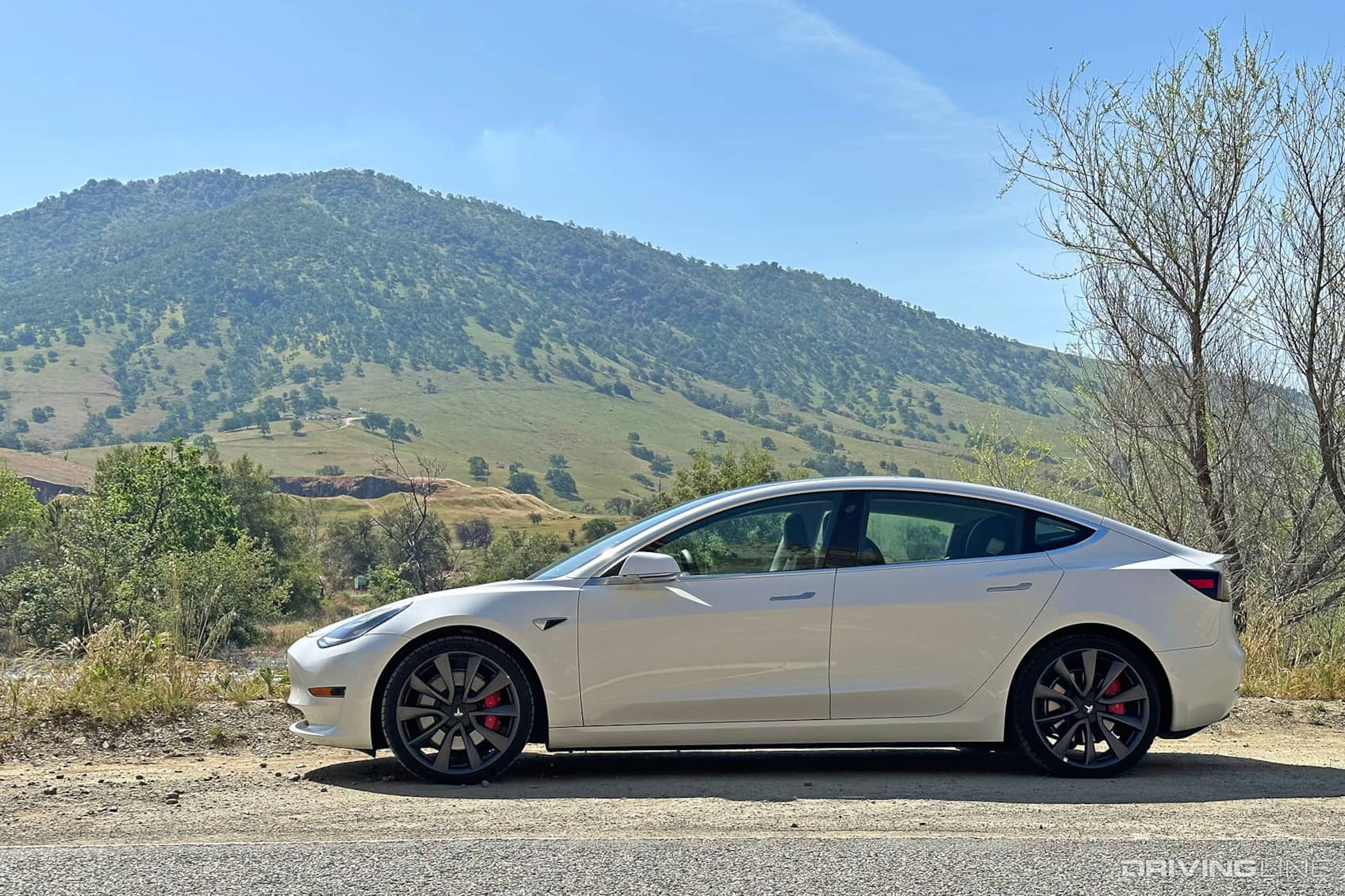 More Than Just an EV? Project Tesla Model 3 Performance Buying ...