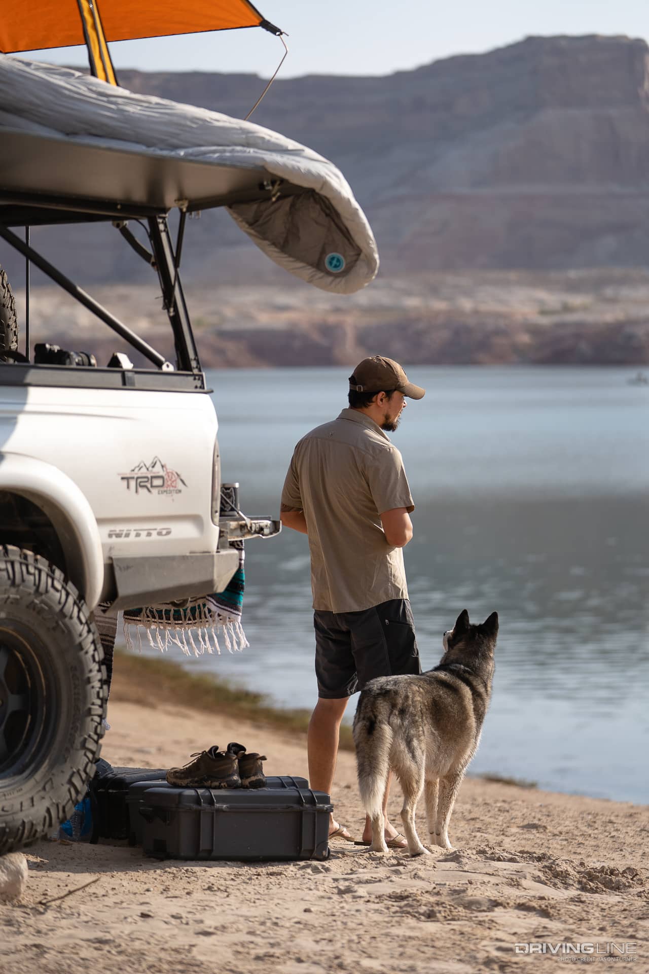 Pups on the Trail: 8 Tips for Safely Off-Roading, Camping, and ...