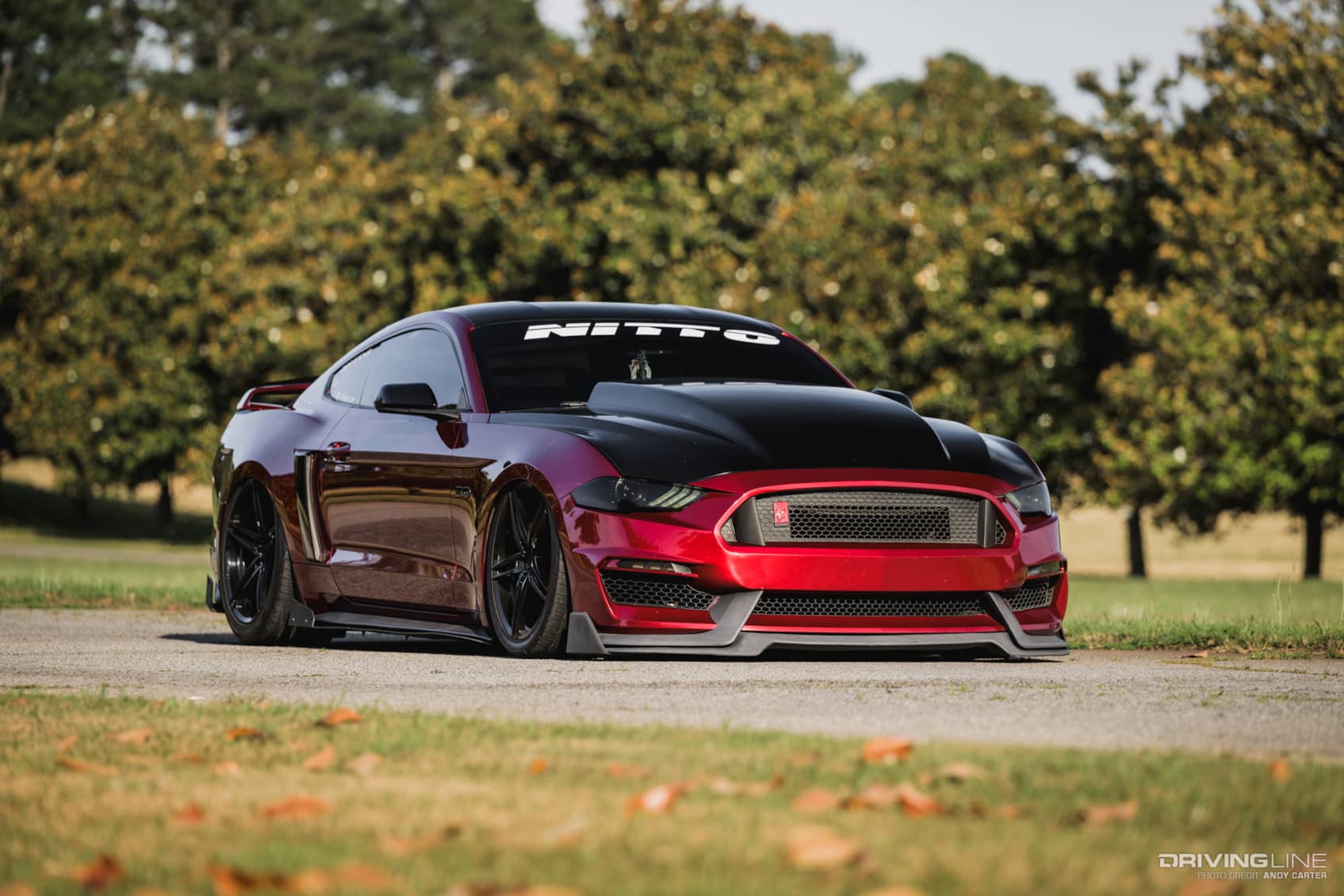Killer Crimson Cruiser: Slammed, Blood-Red 2018 Mustang GT | DrivingLine