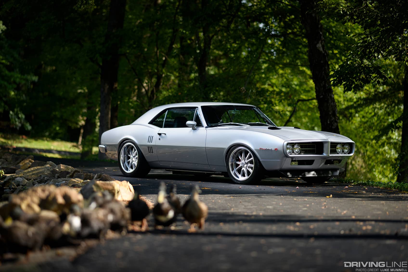 Grandma's 1967 Firebird Re-Imagined: LS-Swapped First-Gen F-Body ...