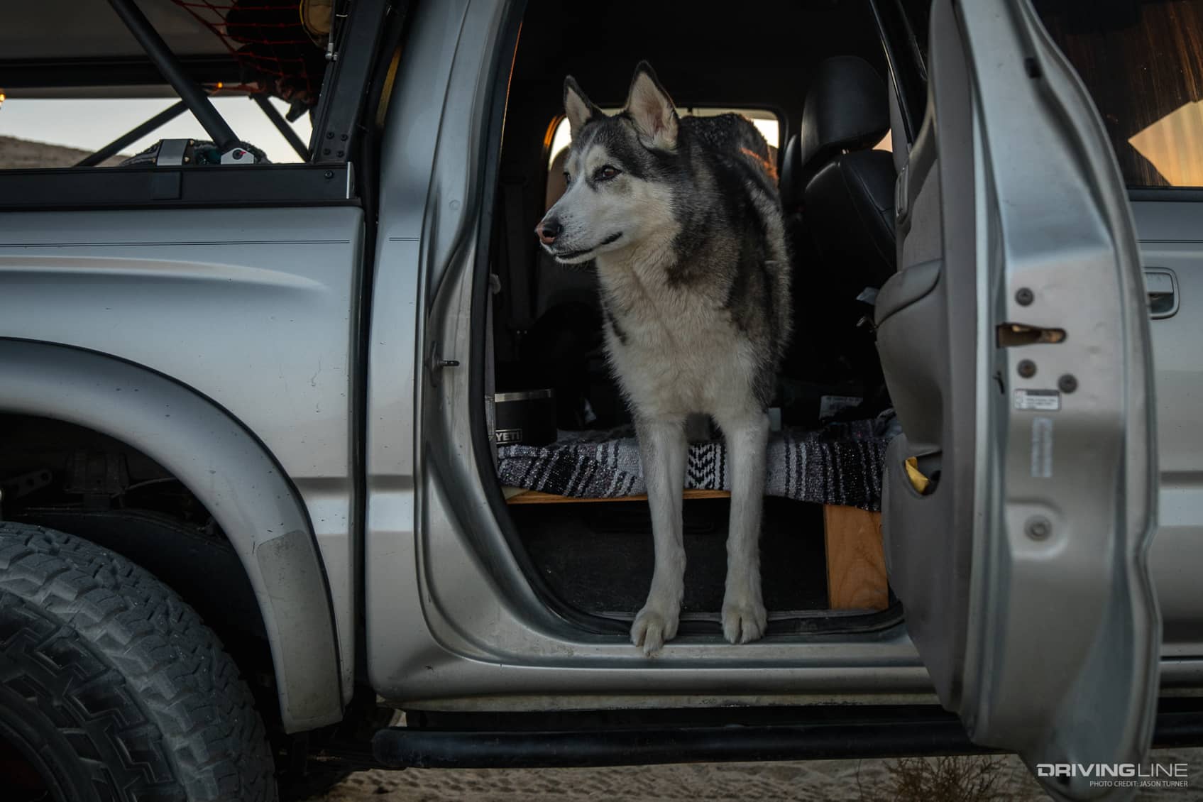 Pups on the Trail: 8 Tips for Safely Off-Roading, Camping, and ...