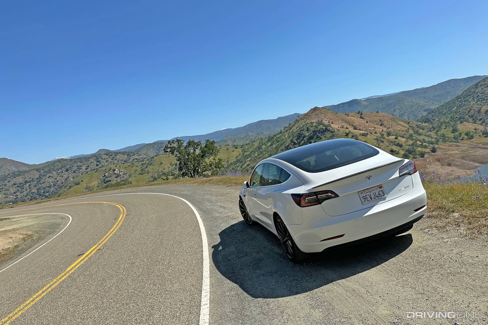 More Than Just an EV? Project Tesla Model 3 Performance Buying ...